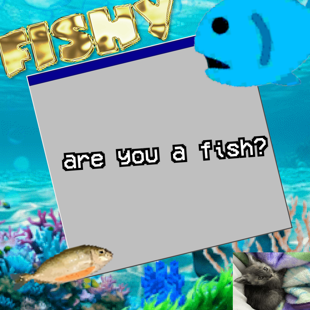 Fish: Find your true self by uncertified stuff