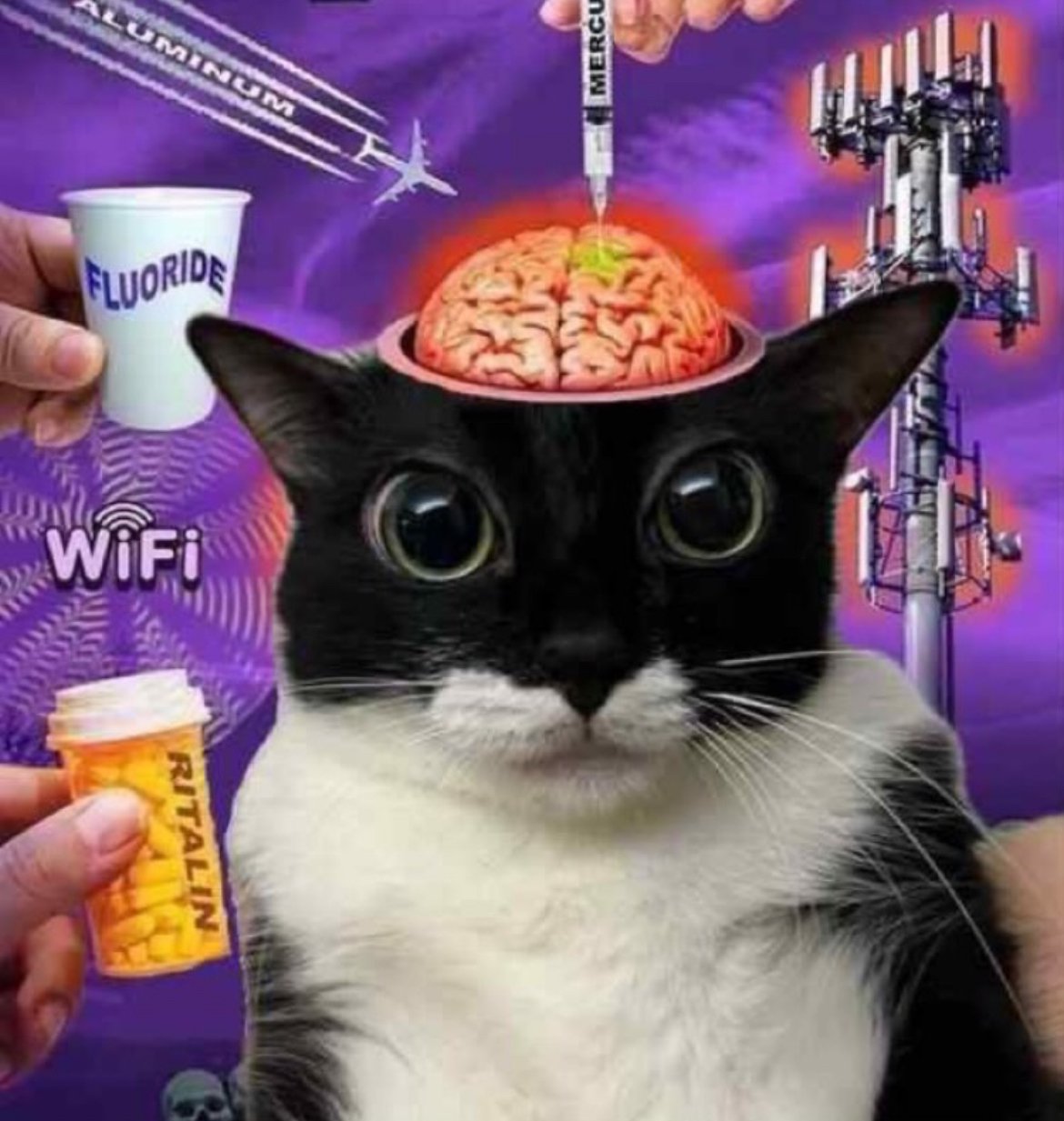 Comments 301 to 262 of 312 - One Potion Please! - Full by CoderGuy111