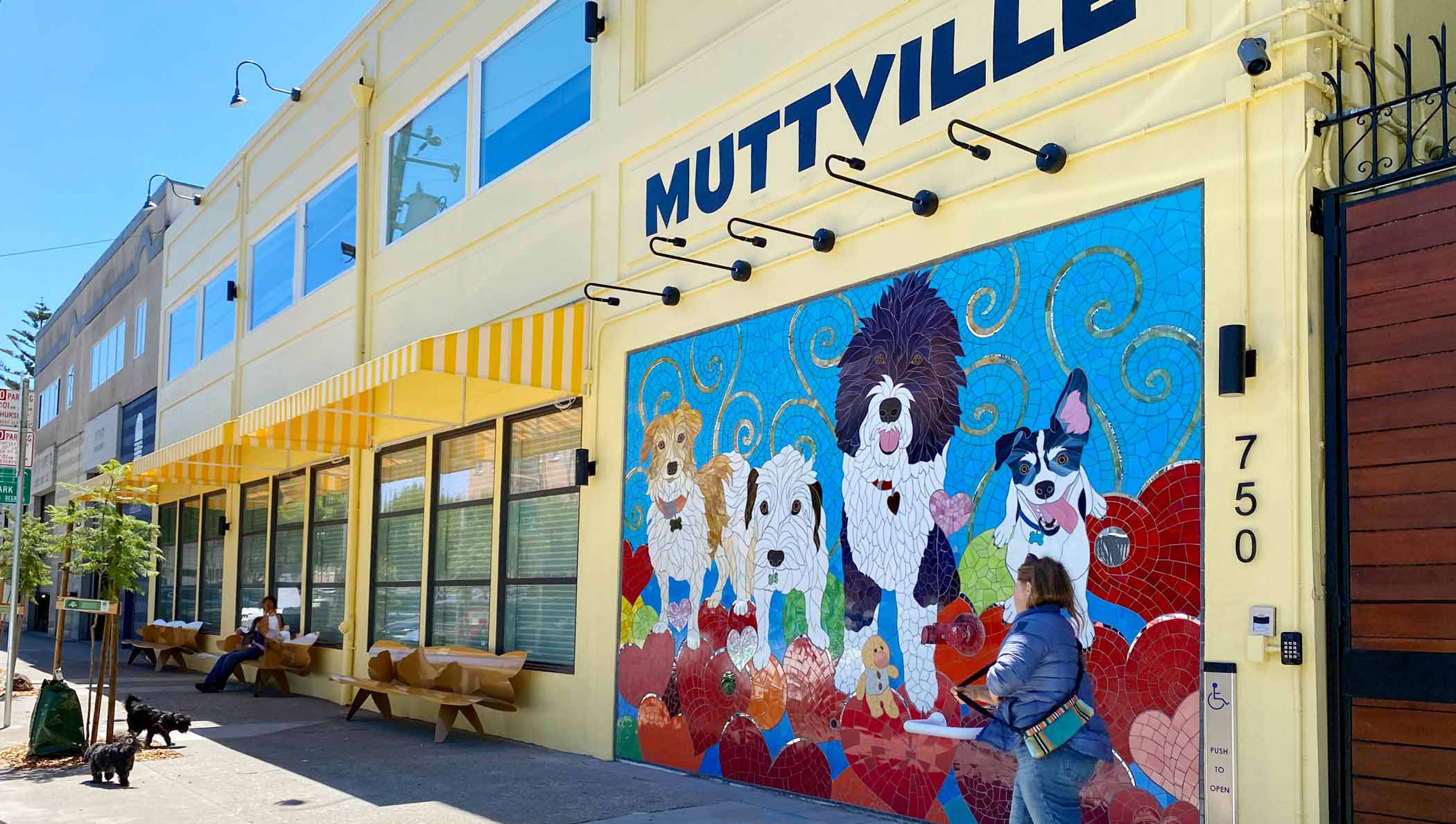 Muttville by blackswan12