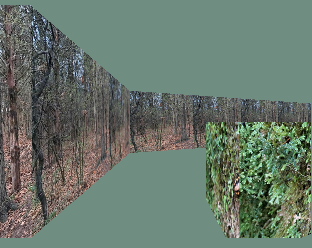 Moss Eater 3D by Outgrabe