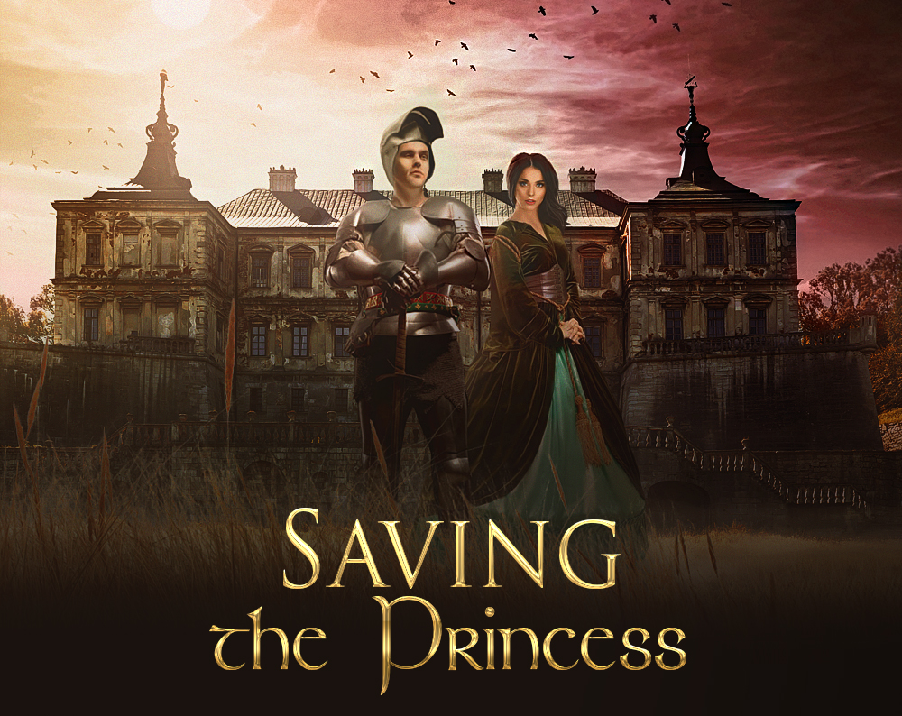 Saving the Princess 1 by wolfgames