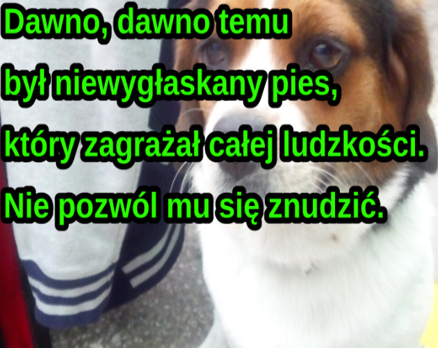 Rubi Głaskacz Simulator (Rubi Petting Sim) by HACAH, kawabart
