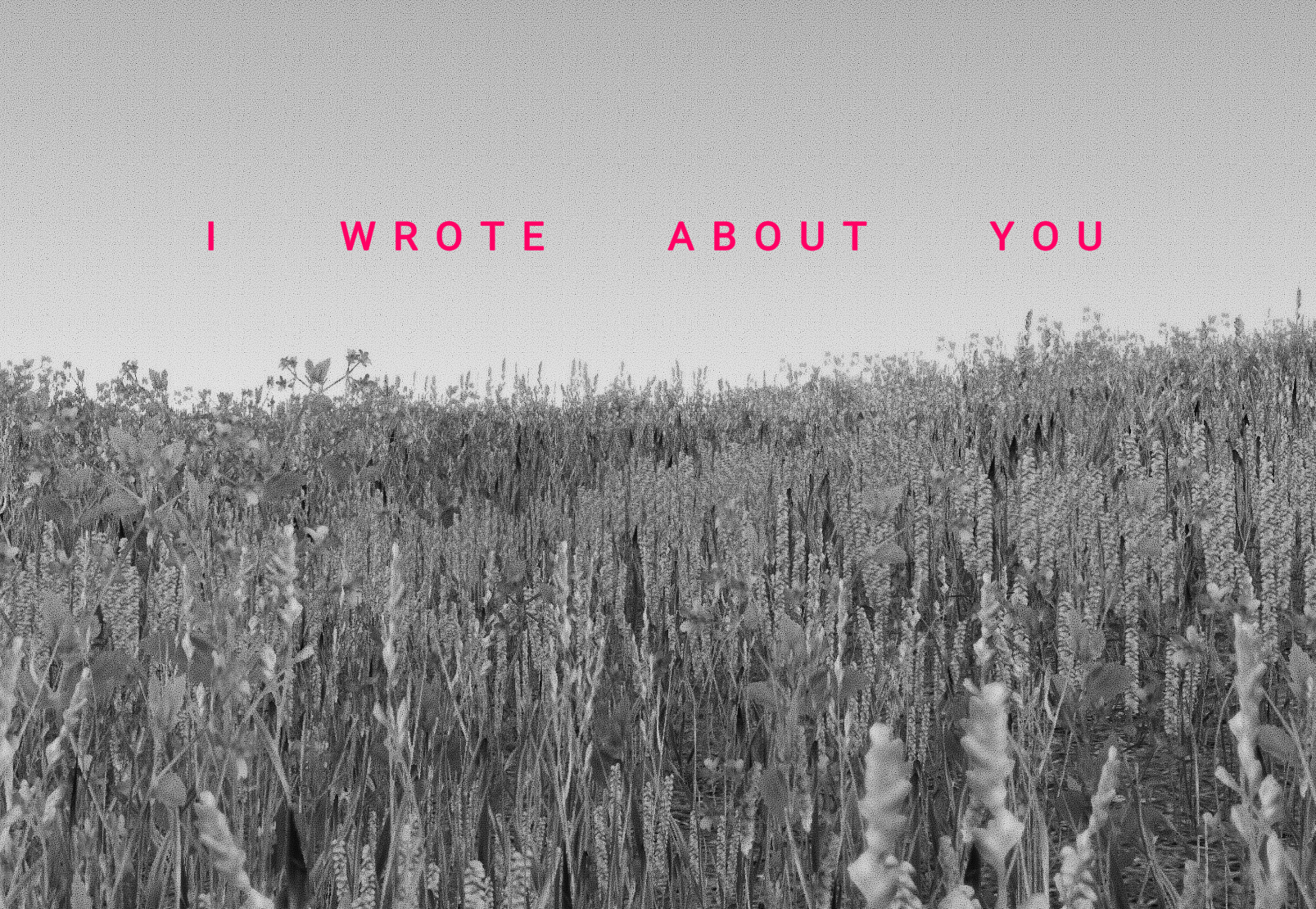 I Wrote About You - I Wrote About You by Paws Menu