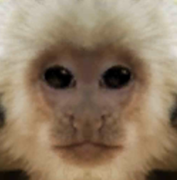 Chimp Chaos (beta testing) by darkangel423764