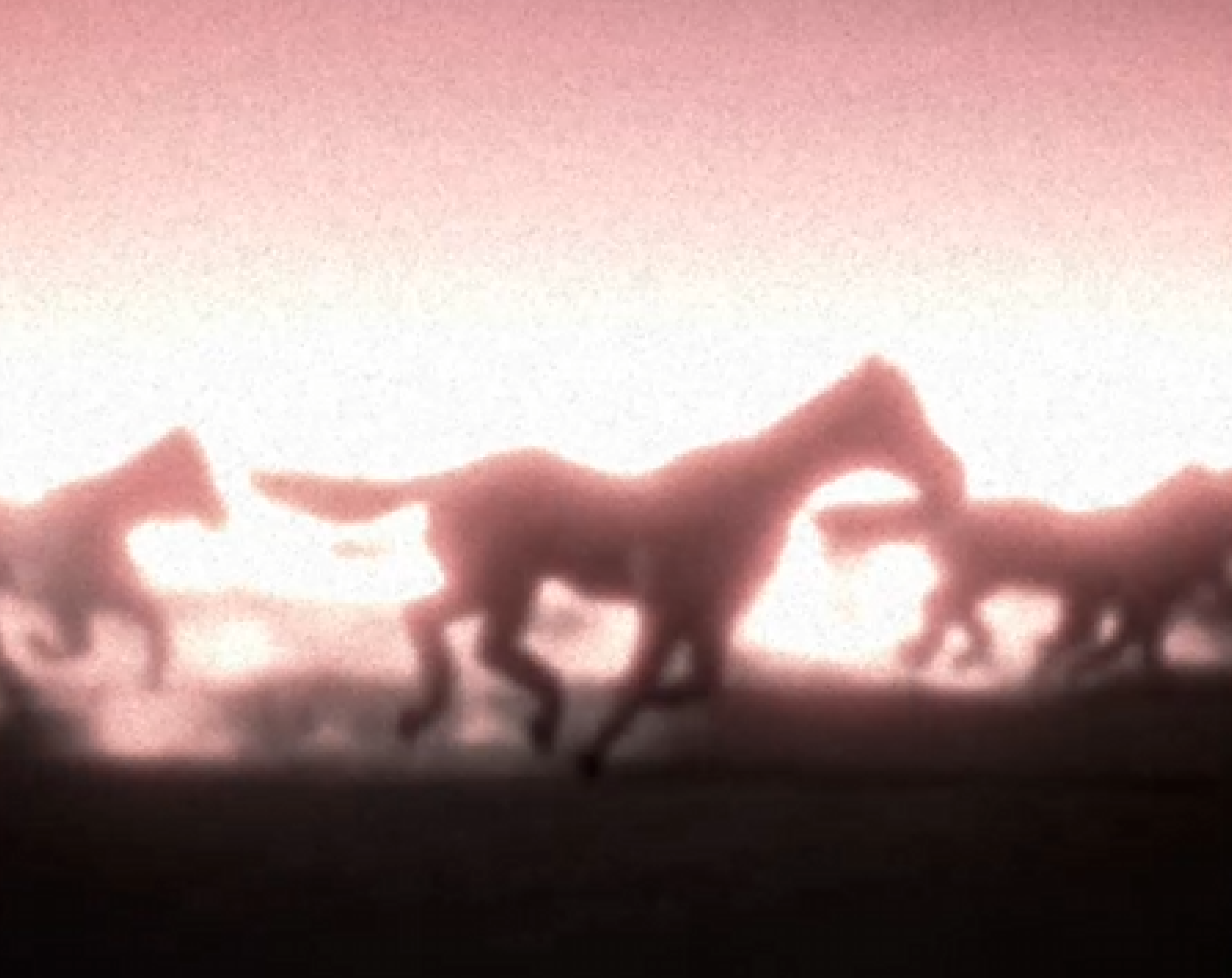 The Procession of Horses in Motion by INFINITE TEARS, Farfama