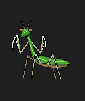 Pixel Art Boss – Mantis by HD Production