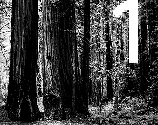 Champ_the_Goat added project990 #1 ~ "Introduction" to games that are ...