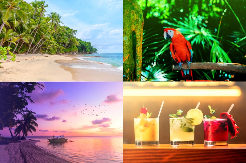 Tropical Jungle Island Pack: 20 Visual Novel Backgrounds by Rachel Chen ...