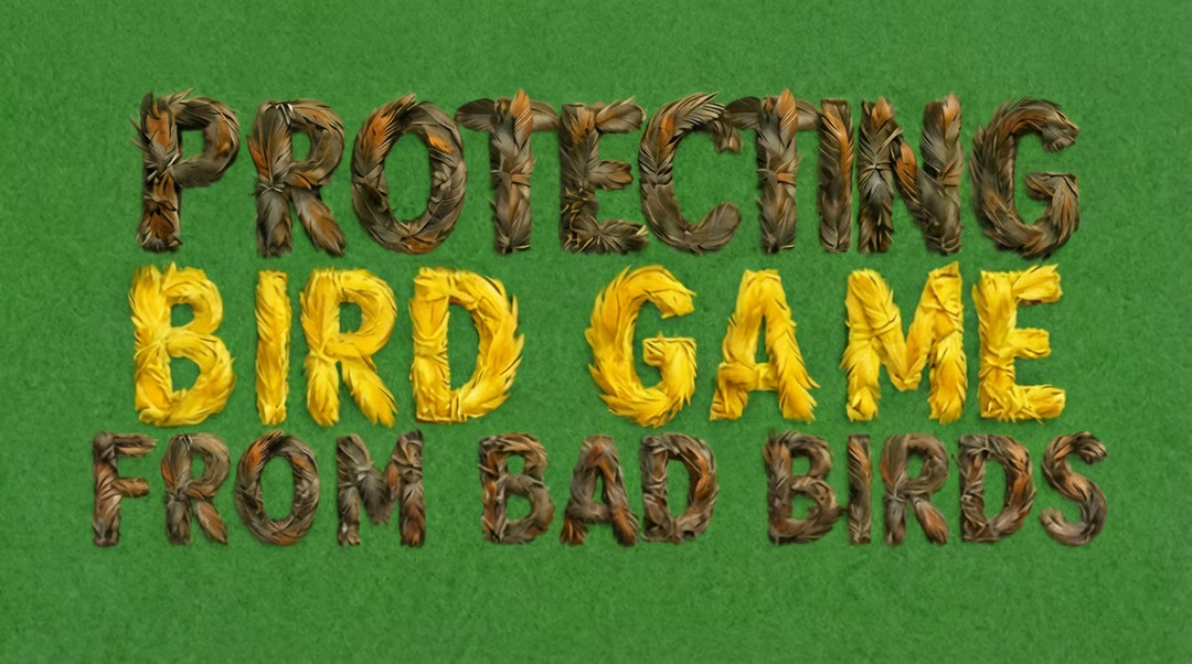 Protecting Bird Game From Bad Birds by JohnWowCool