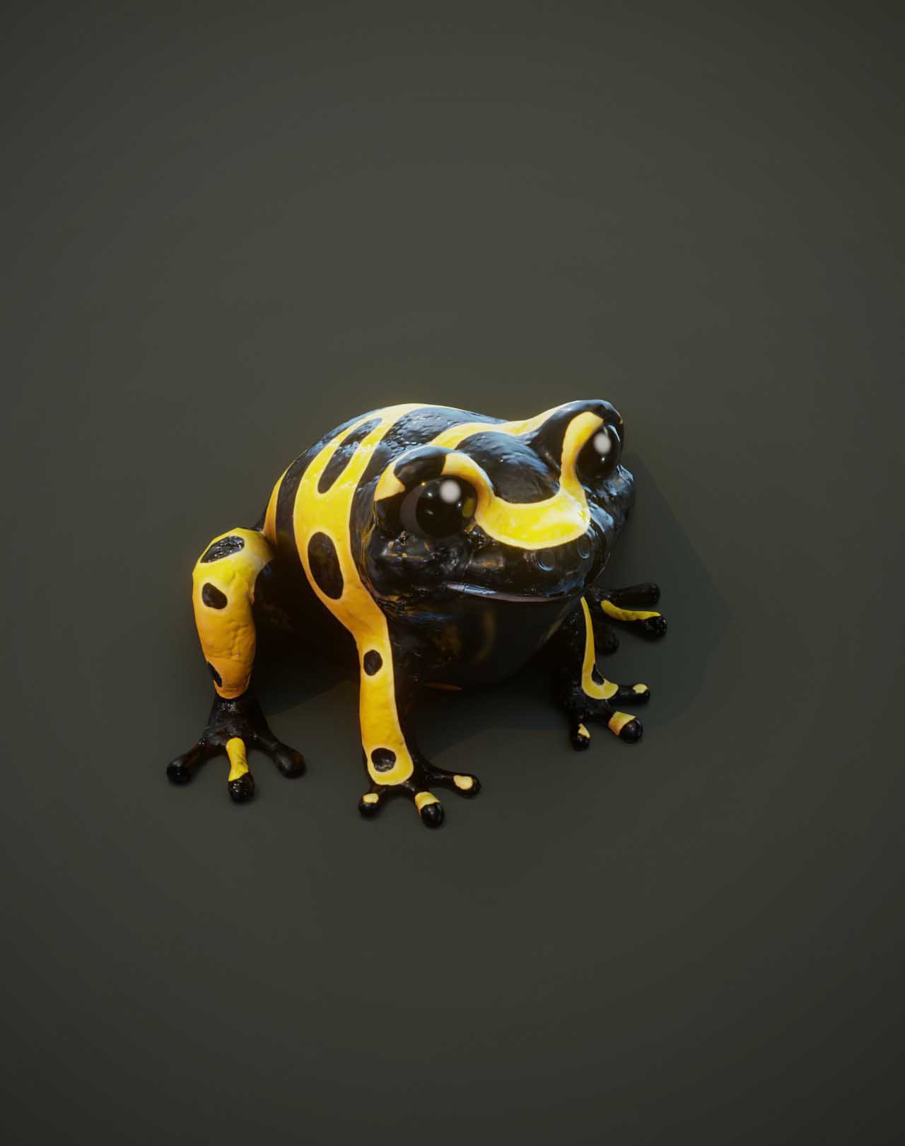Cartoon Yellow-banded Frog Animated 3D Model by 3DDisco