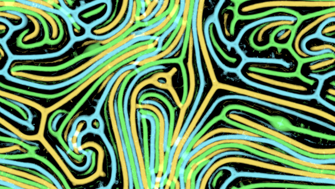 Slime Simulation by AllInTw0