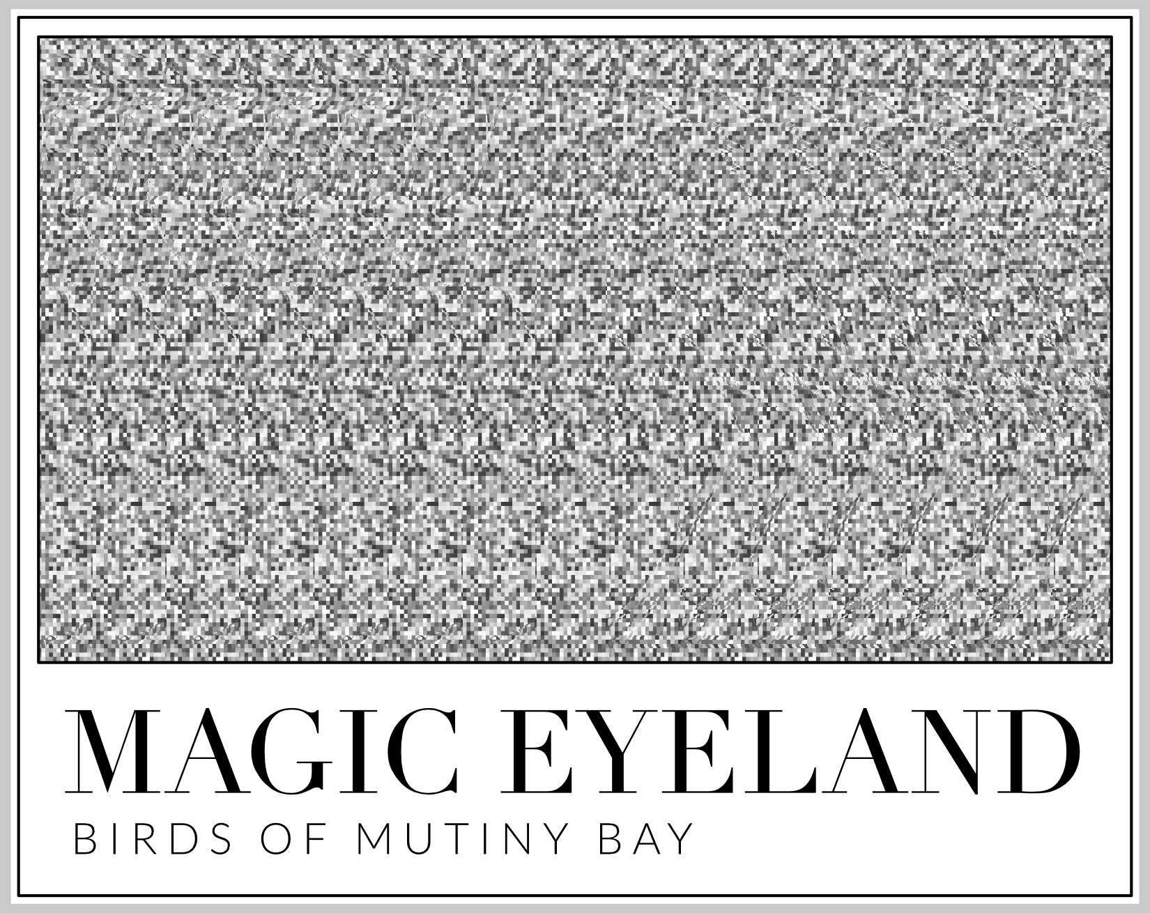 Devlog - Magic Eyeland: Birds of Mutiny Bay by A.M.P. Halstead