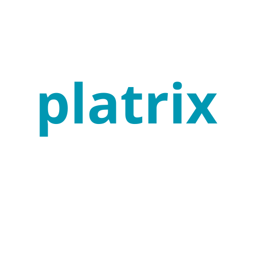platrix(my first game) by gameV0IX