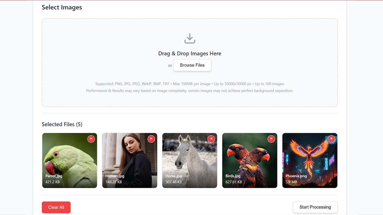 BIBROF AI - Offline Bulk Background Remover - Release Announcements ...