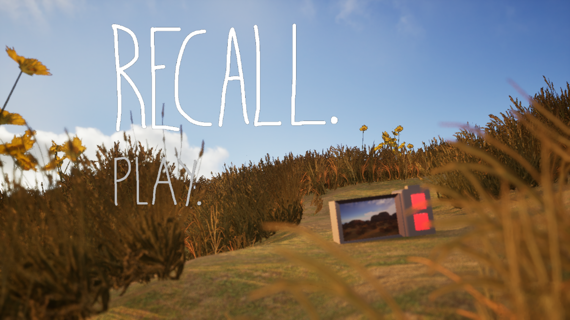 Recall Demo by BobJohnson
