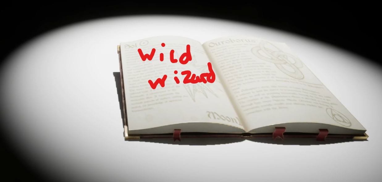 Wild Wizard by WoodmanH