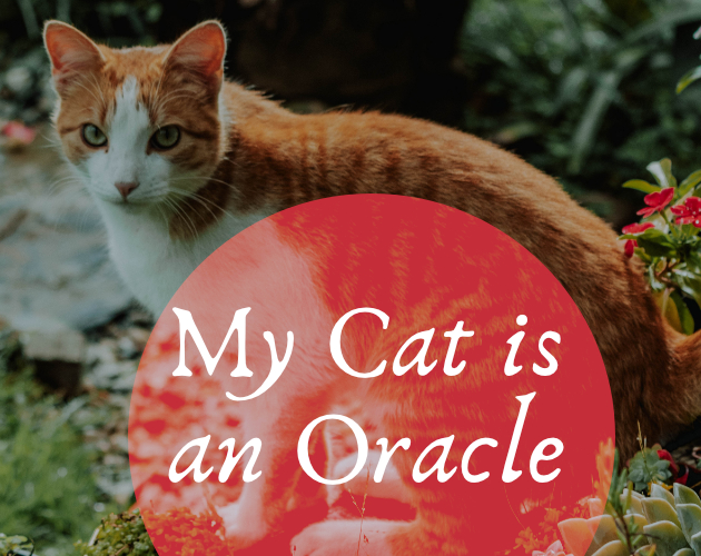 My Cat is an Oracle by Rae Nedjadi