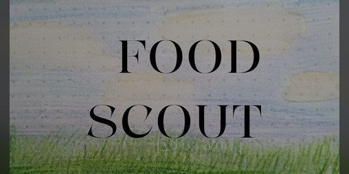 Food Scout by 24362_Jenny
