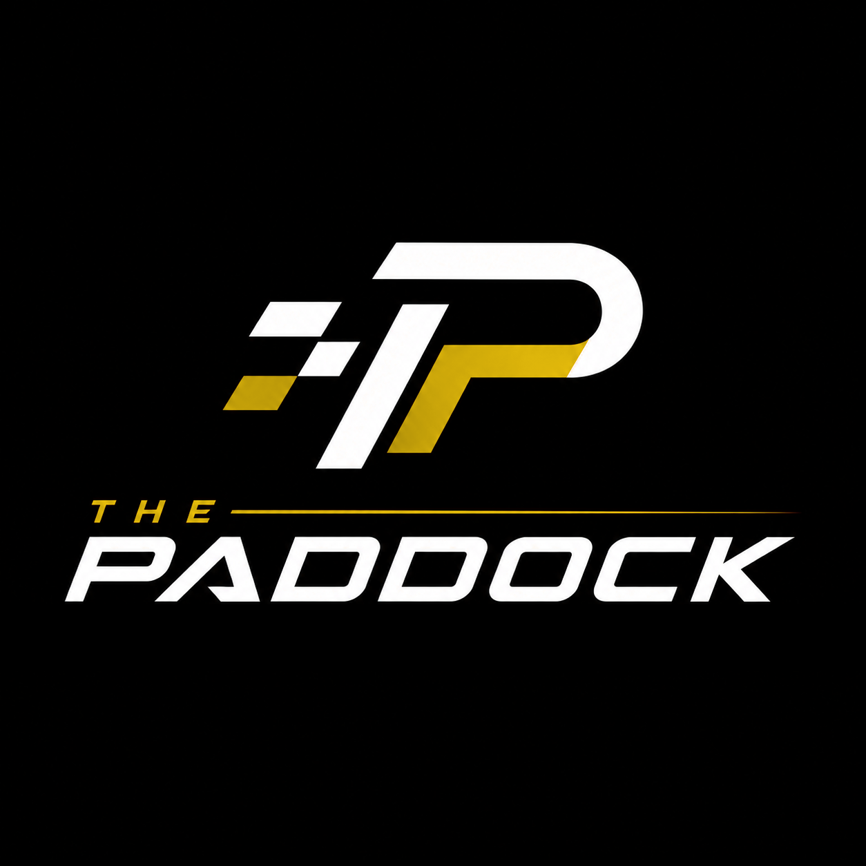 Apex Racing Manager — Devlog: Running a Real Team in a Living AMS2 ...