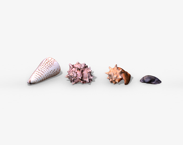 Photorealistic Seashells Collection - Scanned PBR by Tunnel Vision Studio
