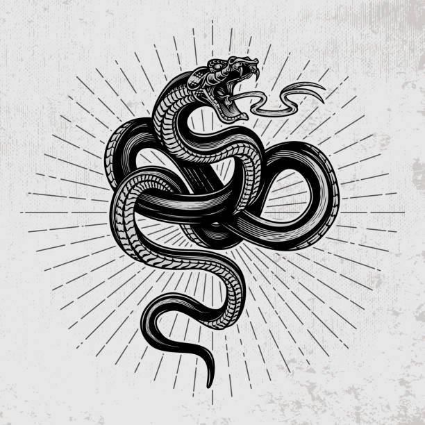 Snake Gaem by JoeShoee