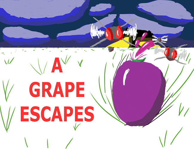 A Grape Escapes by John Snyder
