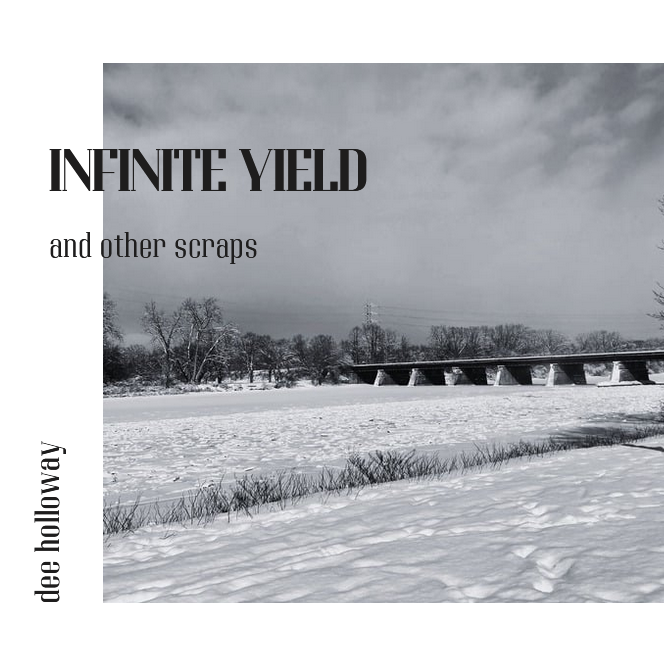 infinite yield by Dee Holloway