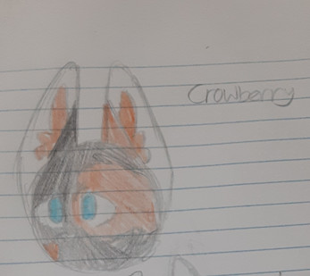 Drawing of Crowberry by leafstorm_19