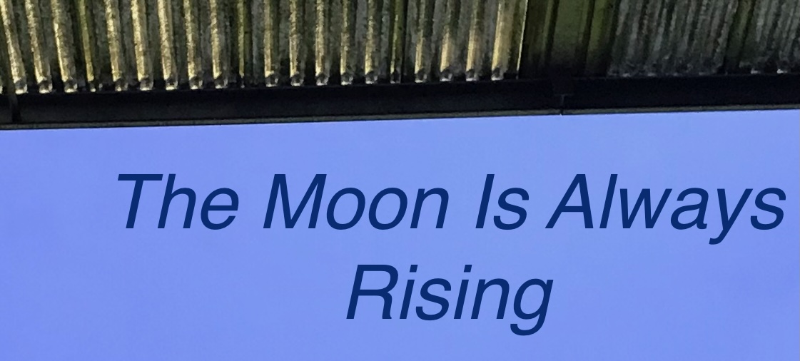 The Moon Is Always Rising by bittybee123 for Below A Bad Moon Jam - itch.io