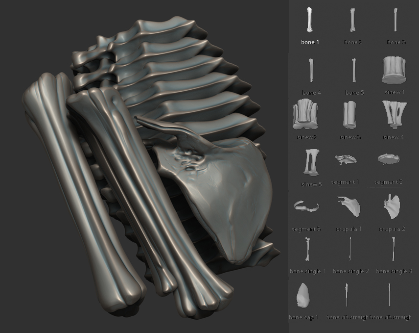 Makkon's Alien Bones IMM brush for Zbrush by Makkon