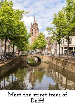 Delft tree map by Lilian