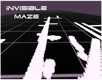 The A-Maze-Ing Invisi-Maze by ERATS