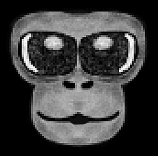 The Primate Protocal by Crys7al