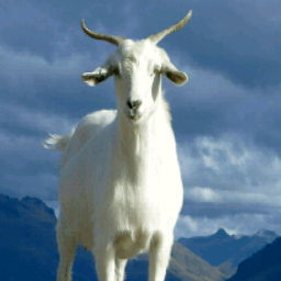 Goat Game 2D by Steezy