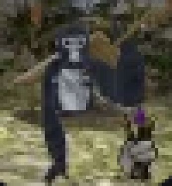 Monkey Taggers by WiskersVr