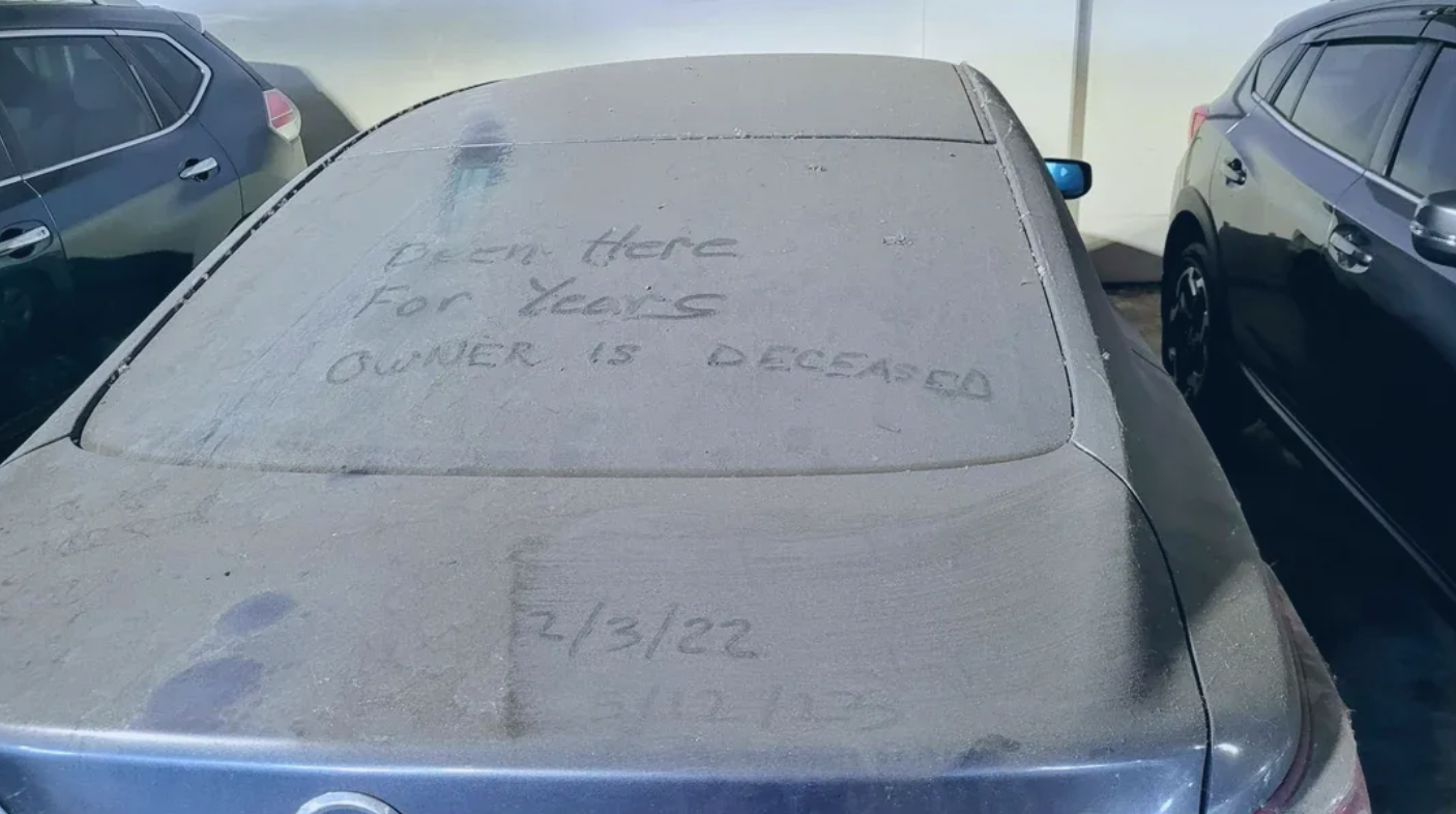 Stories Under Ash by ovelia