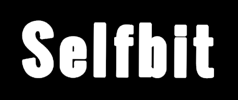 Selfbit - Developer log #1 - itch.io