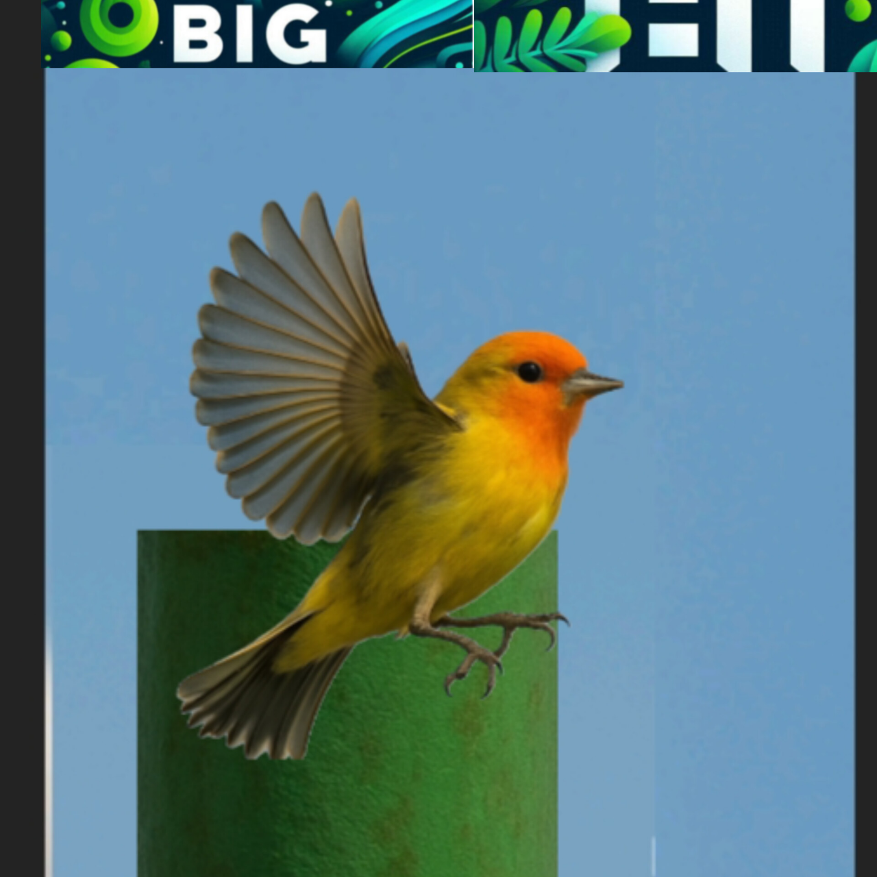 Bird escape by BIGTAN SOFTWARE GAMES