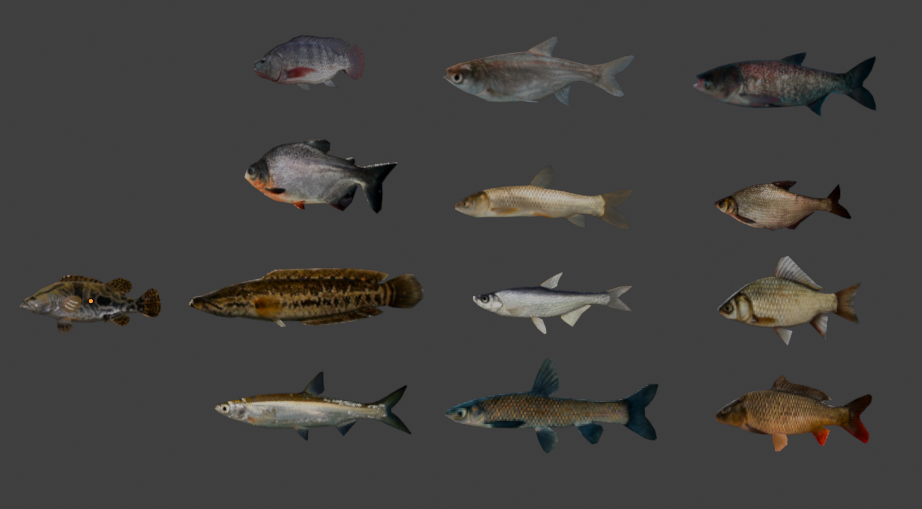 128*128 PSX style 13 kinds of freshwater fish models by HulieatRob