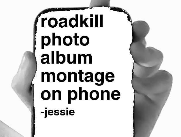 roadkill photo album montage on phone by jessie