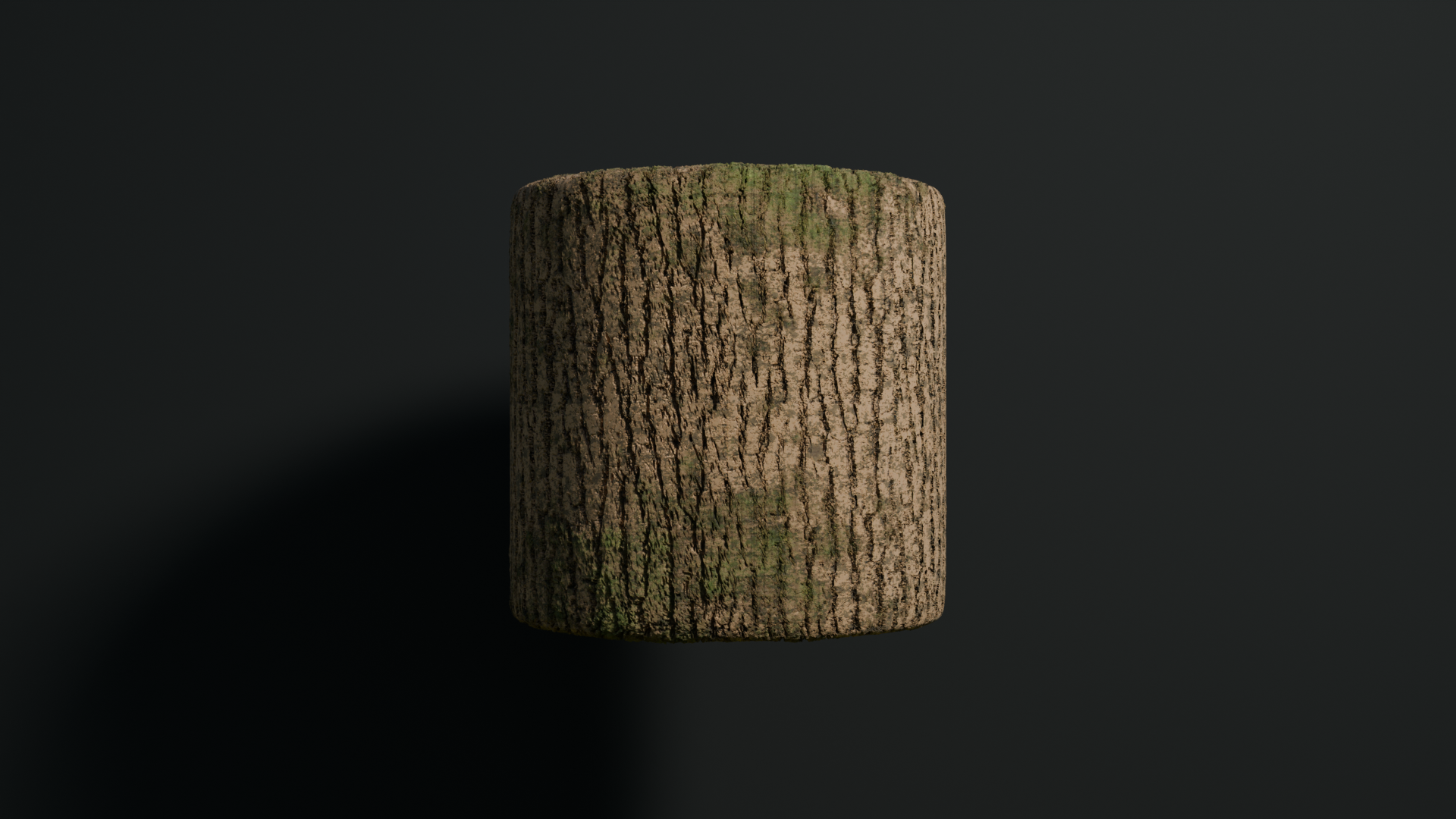 X77 - Tree Bark PBR Texture 4k by X-77