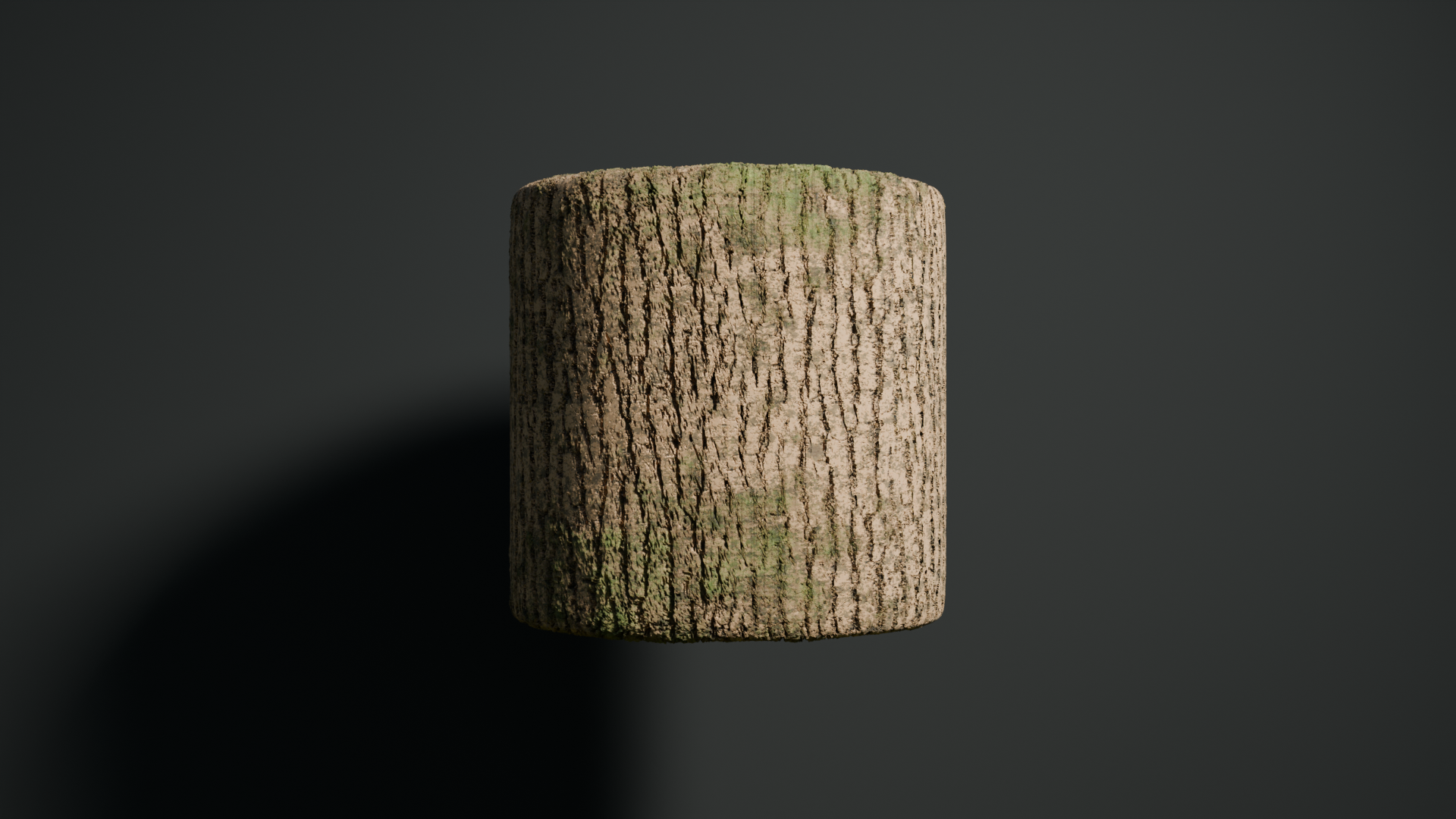 X77 - Tree Bark PBR Texture 4k by X-77