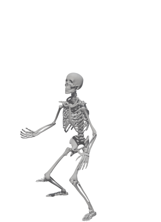 8 Side Direction Skeleton Animation sprites by Jonasz O.