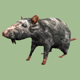 Catch On The Clock by Adam Edmondson