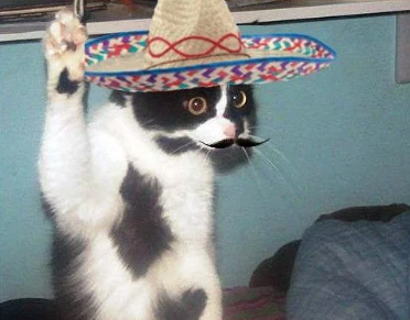 Neon Void by porcupunk