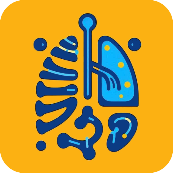 AIMS: Anatomy Interactive Mobile Simulation by Seto406