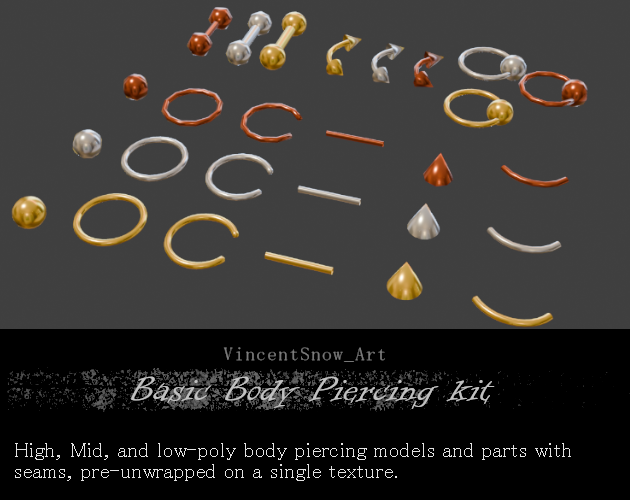 Basic Body Piercings by Vincent Snow