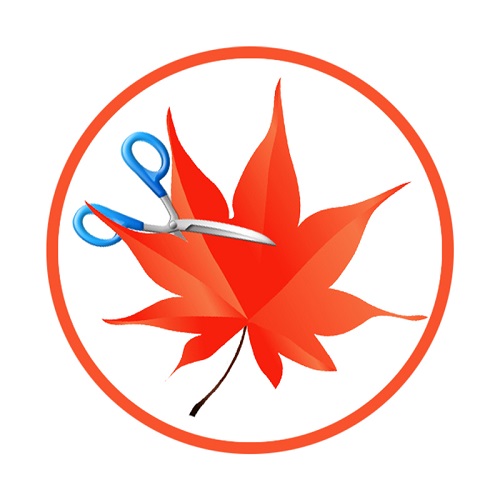 EasyCut Pro Free Download by oursoftware