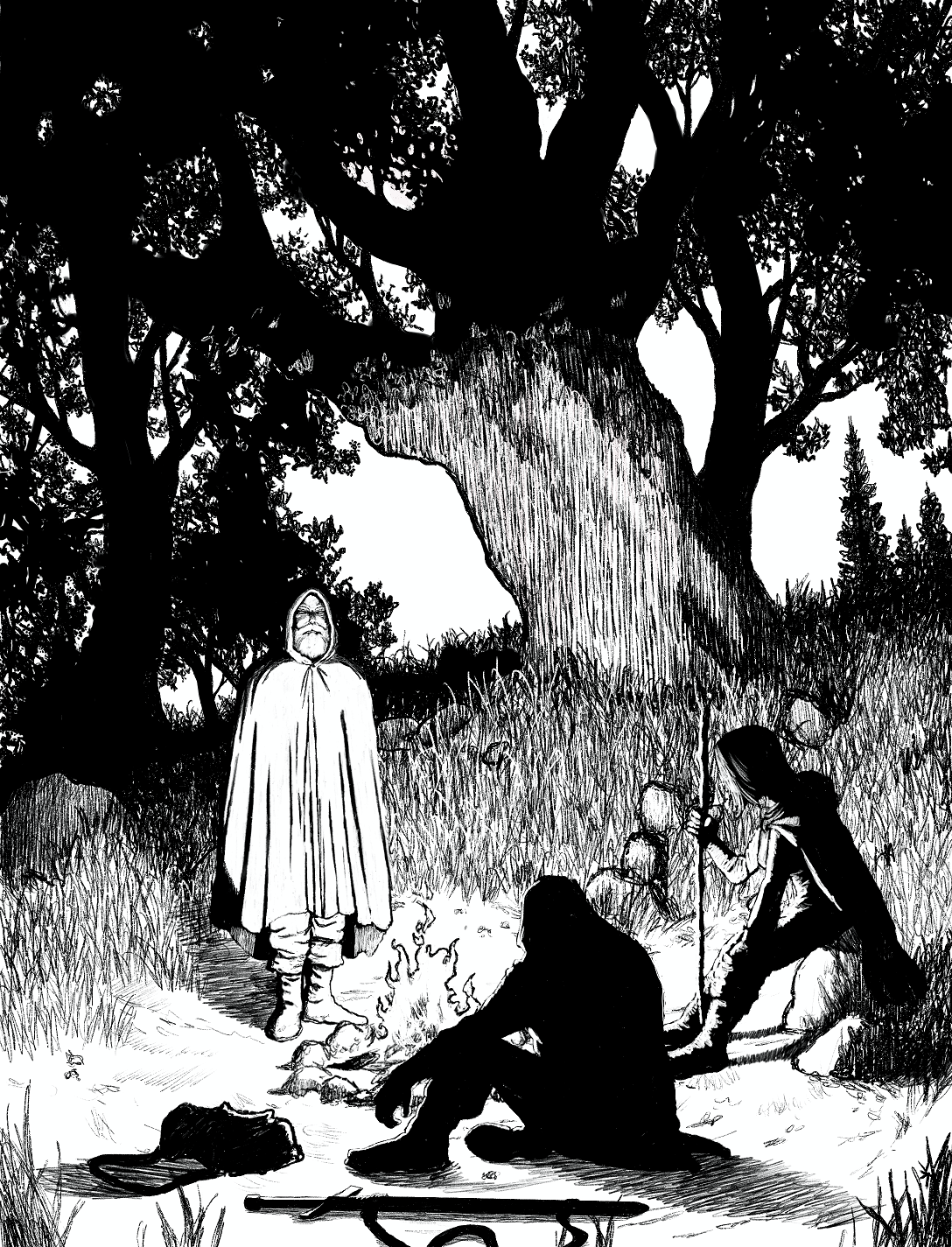 Shadows of the Wild by Jordan Rudd