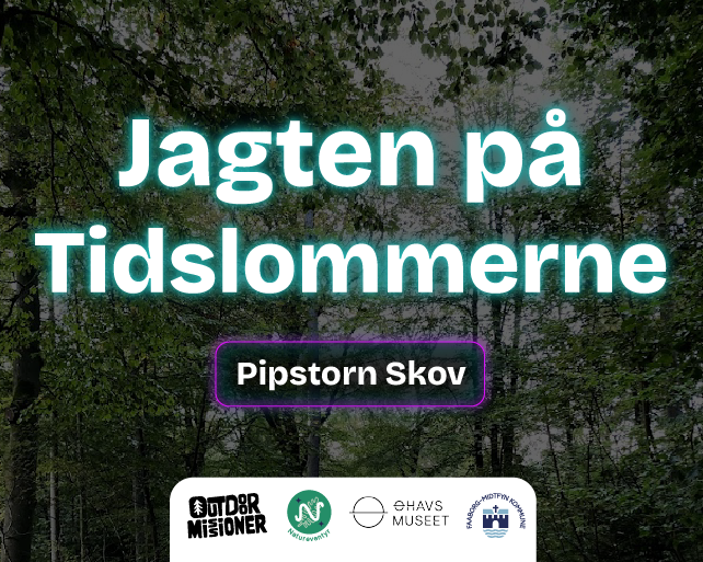 Jagten på tidslommerne by natureventyr